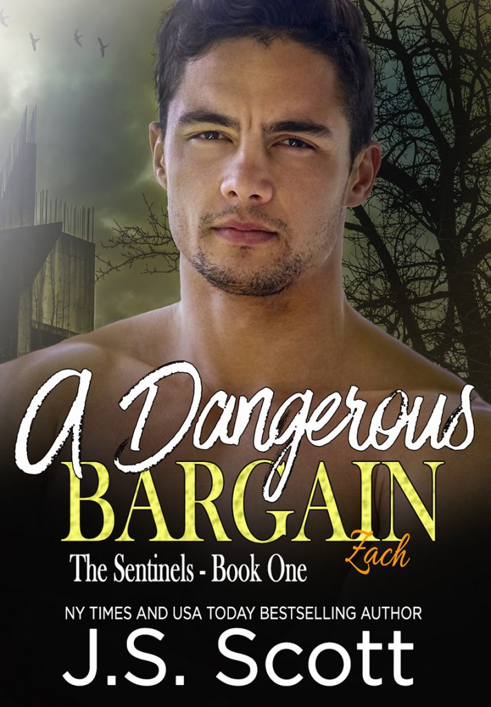 A Dangerous King – Author JS Scott